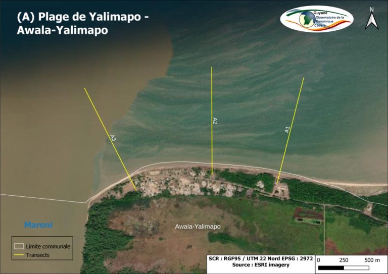 Fiches transect - Observatoire de la Dynamique Côtière de Guyane