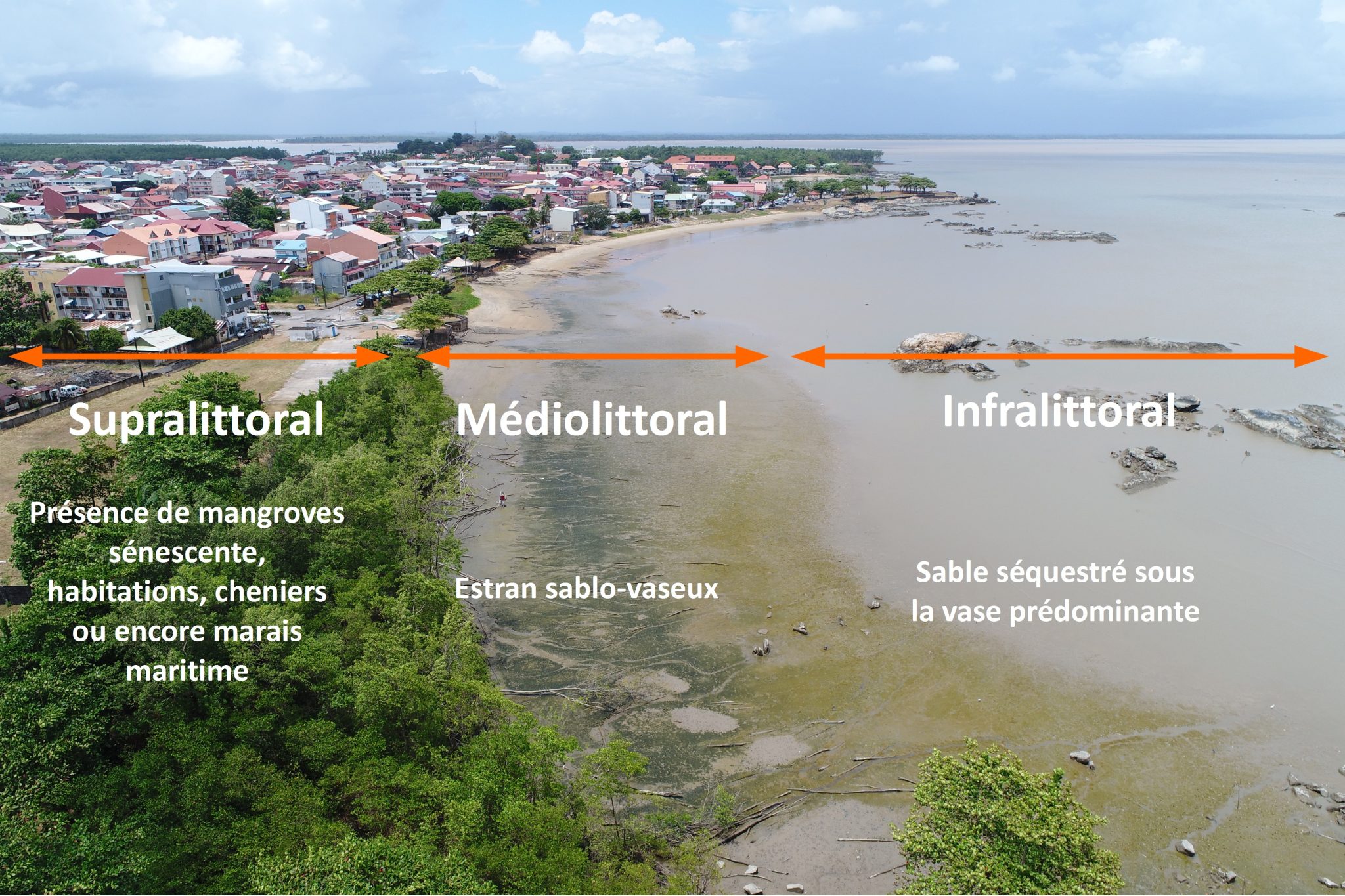 Présentation du littoral - Observatoire de la Dynamique Côtière de Guyane