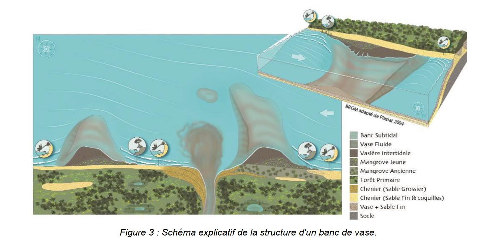 Les dynamiques littorales - Observatoire de la Dynamique Côtière de Guyane